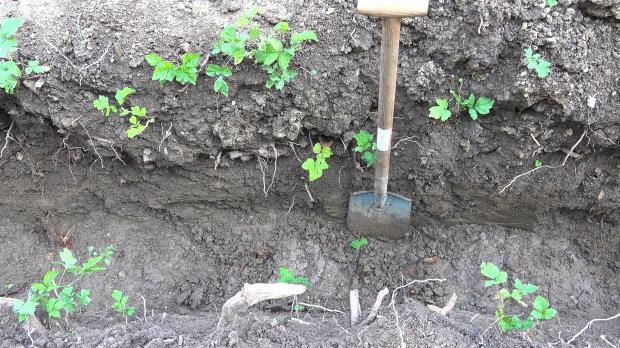 Streifenfundament betonieren - Anleitung @ diybook.at