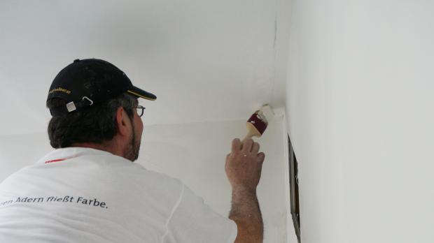 Gipskarton streichen - Trockenbaufarbe im Einsatz - Anleitung & Tipps @ diybook.at
